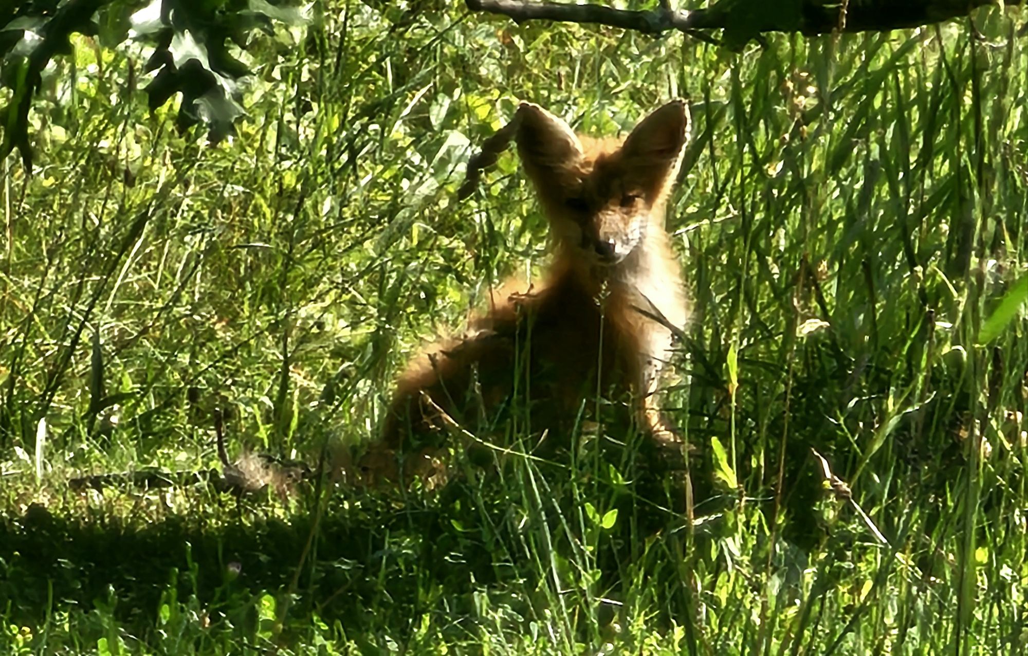 28 July, Sheguiandah, Manitoulin Island – Louise and Brian McLeod Travel Blog